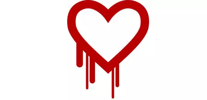 Kanada, VPN-de maglumat ogurlamak üçin “Heartbleed” -i ulanan ilkinji krakeri tussag etdi 11589_1