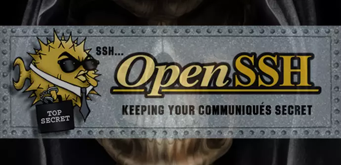 OpenSSH - Cacat Keselamatan