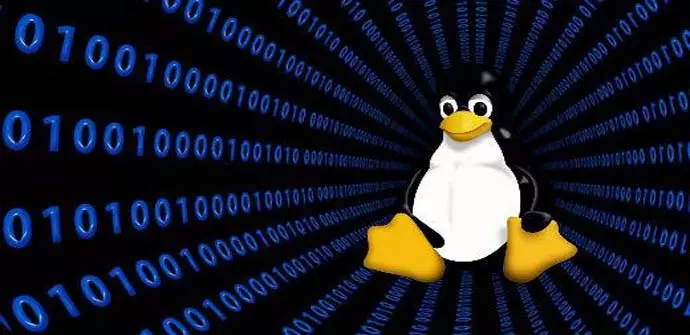 Tsurugi, una distribució de Linux de hacking ètic