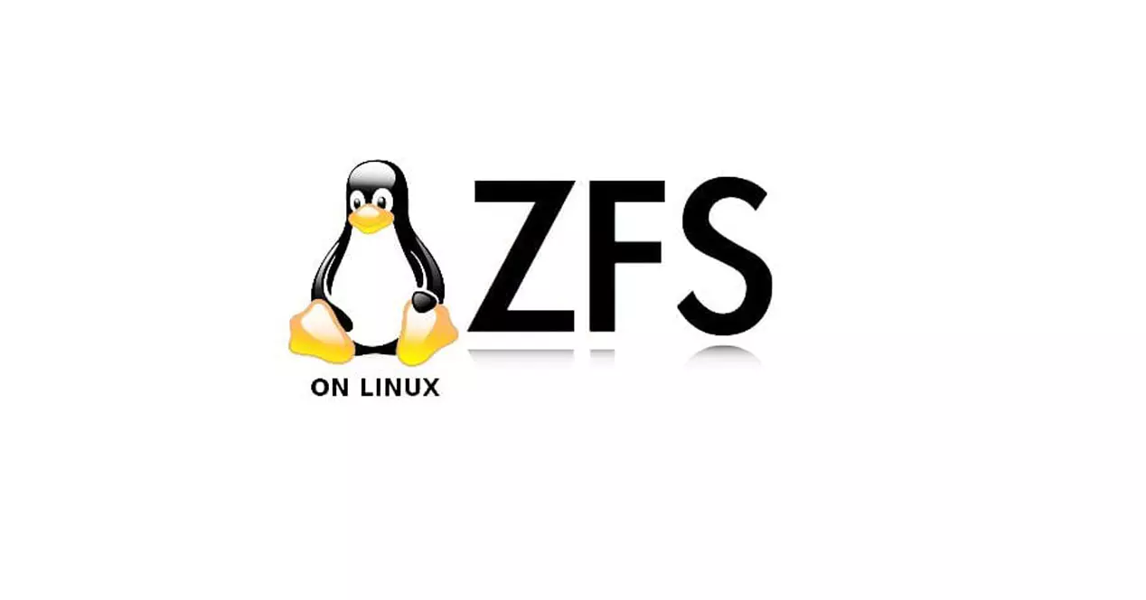 ZFS on Root: Rogha turgnamhach sa Ubuntu 19.10 nua 12692_1