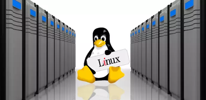 Linux-servere