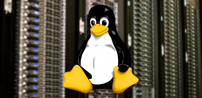 Linux 服務器