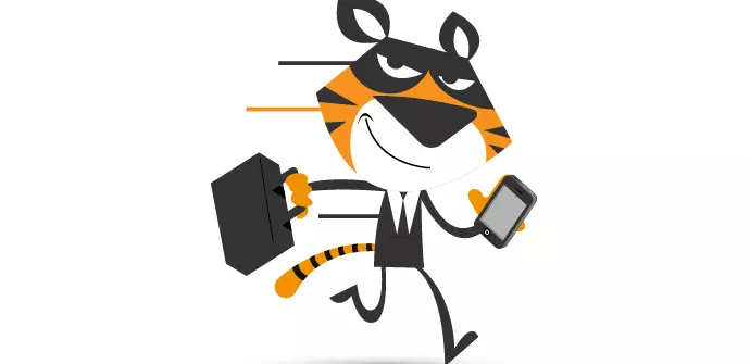 TigerVPN, எங்கள் தனியுரிமையை தீவிரமாக எடுத்துக் கொள்ளும் VPN சேவையகம் 16348_1