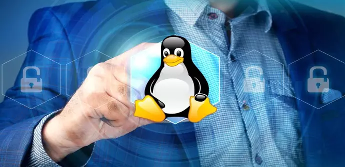 Distribucións Linux centradas en seguridade