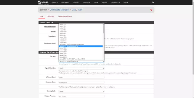 Konfiguréieren OpenVPN Server am pfSense mat der beschter Sécherheet 20115_10