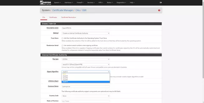 Agordu OpenVPN-servilon en pfSense kun la plej bona sekureco 20115_11