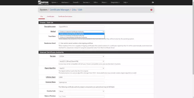 Lungiselela iseva ye-OpenVPN ku-pfSense ngokuvikeleka okungcono kakhulu 20115_8