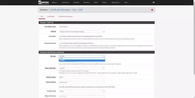 Configurez le serveur OpenVPN dans pfSense avec la meilleure sécurité 20115_9