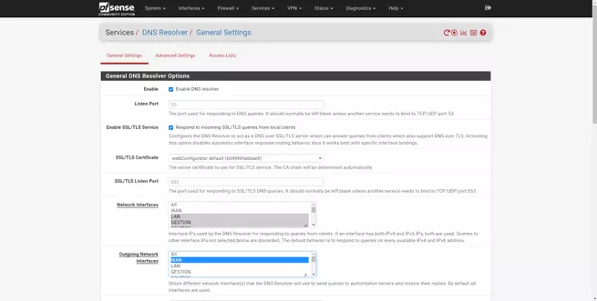 Giunsa ang pag-configure sa pfSense Internet, VLAN, DHCP, DNS ug NAT 20521_44