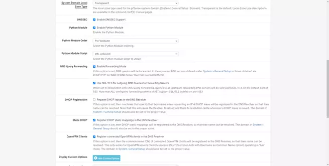 Giunsa ang pag-configure sa pfSense Internet, VLAN, DHCP, DNS ug NAT 20521_45