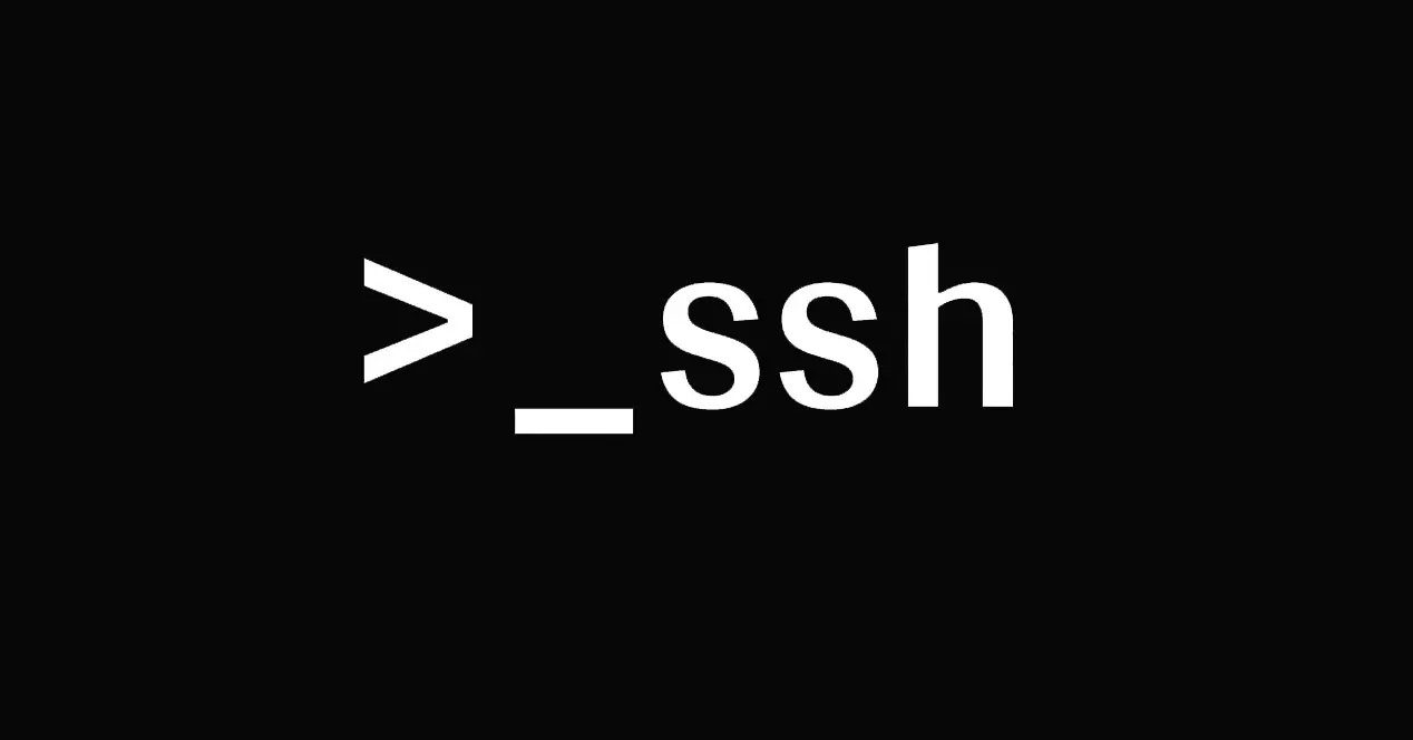 Hvordan sjekke sikkerheten til SSH-serveren og beskytte den mot angrep 21673_1