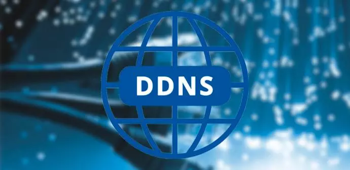 DDNS net