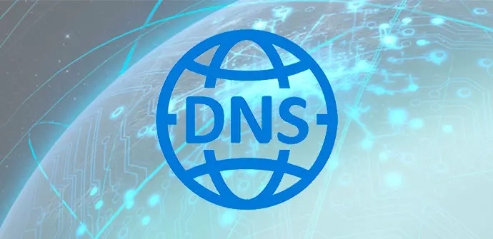 NetworkDNS