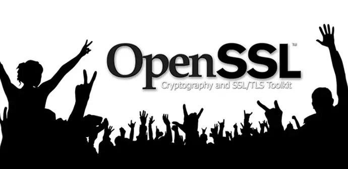 Ang OpenSSL 1.1.0c ay ang bagong bersyon na nag-aayos ng mga malubhang bahid sa seguridad