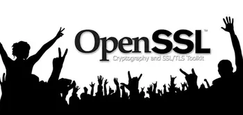 OpenSSL 1.1.0c waa nooca cusub ee hagaajiya cilladaha amniga ee halista ah