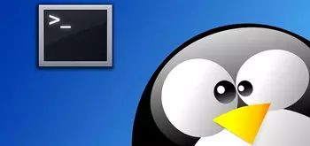 How to search for files and text within them in a Linux terminal