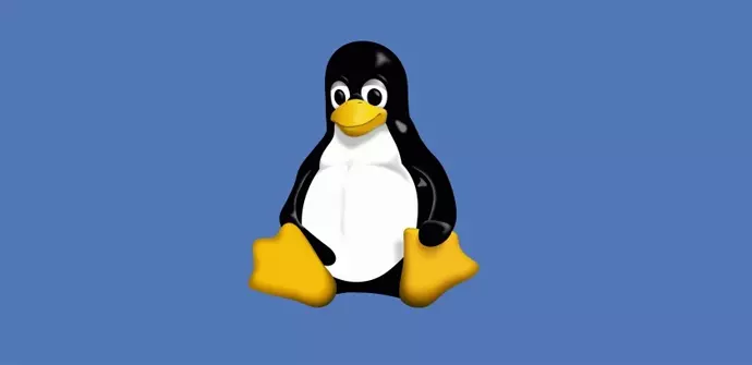 Linux umutekano wintangiriro ya bug