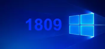 Windows 10 2018ko urriaren eguneratzeak deskargatutako fitxategiak ezaba ditzake 30 egunetik behin; saihesten ikasi